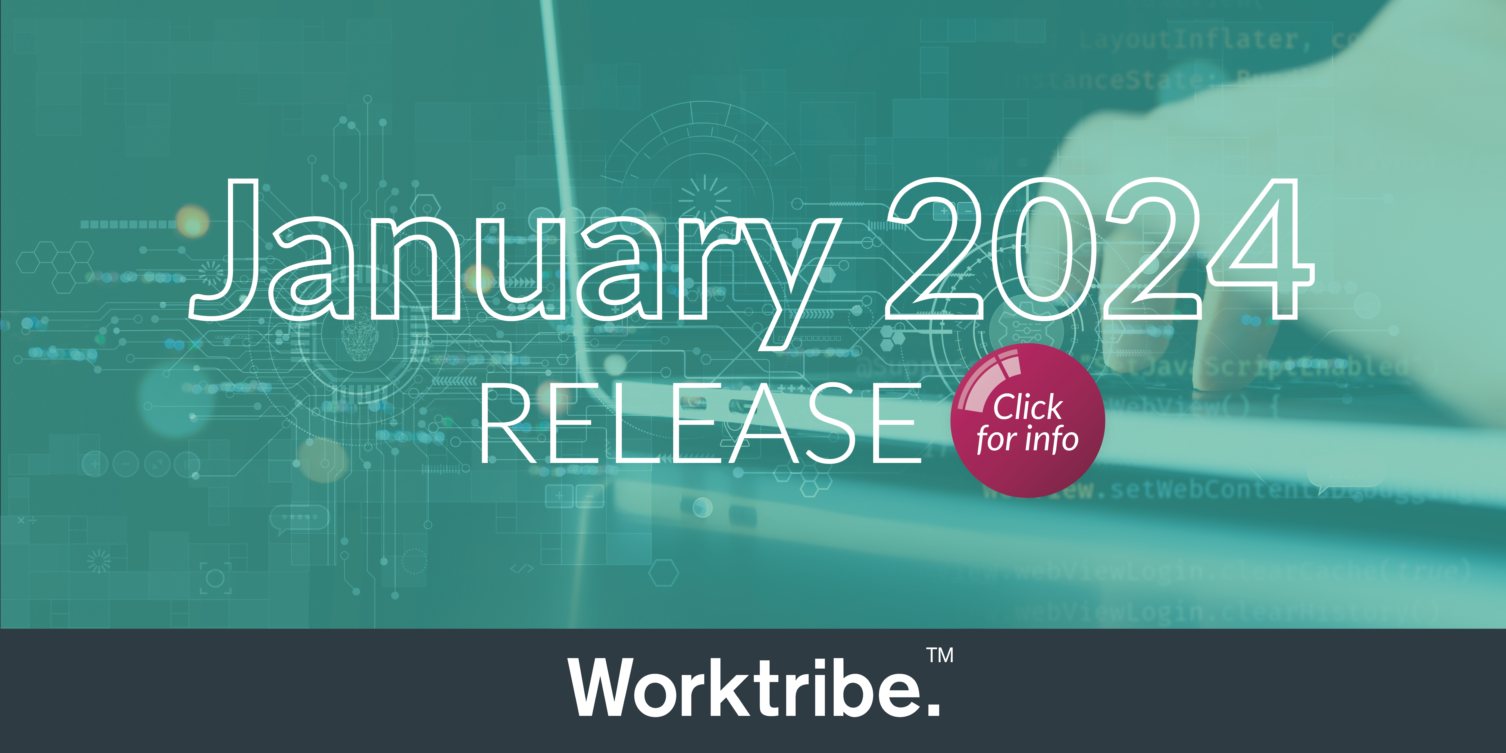 Insights - Worktribe